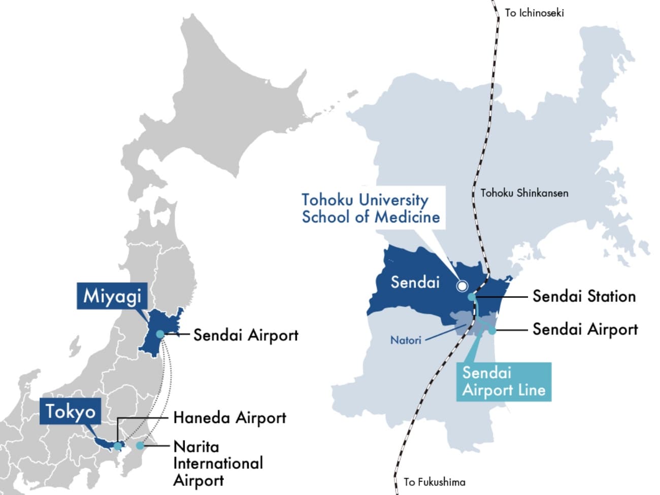 Map & Directions｜Tohoku University School of Medicine